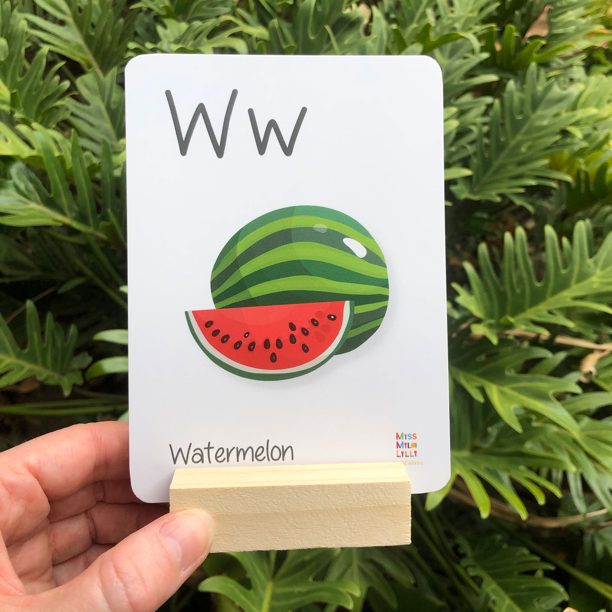 Miss Mila Lilli™ | Flashcard Stand – liliLife®